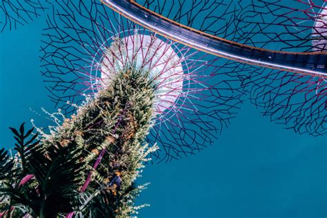 Unbound Dns Server Configuration And Static Ipv6 Address On Proxmox