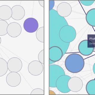Examples Of Proximity Relationships Not Based On Common Capabilities Download Scientific