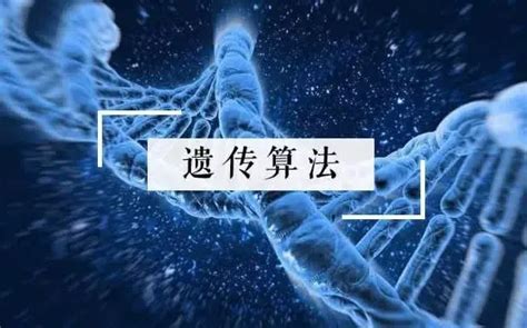 遗传算法入门详解 知乎