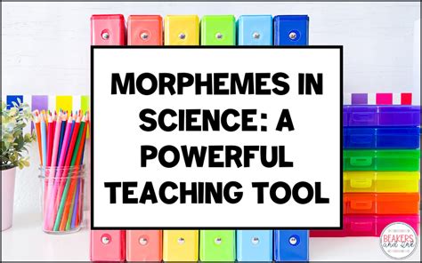 6 Simple Ideas For Running A Successful Science Lab