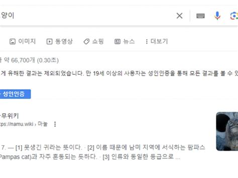 의외로 야한 거 유머 게시판