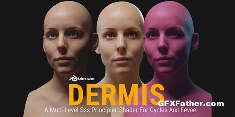 Dermis Shader Blender Addon V12 Gfxfather