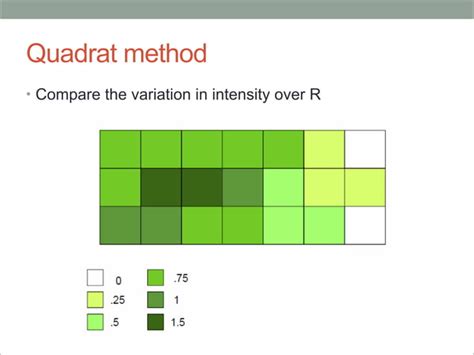 Spatial Point Patterns Pdf