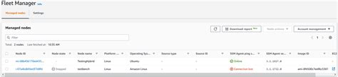 add node name to managed nodes in fleet manager aws re post
