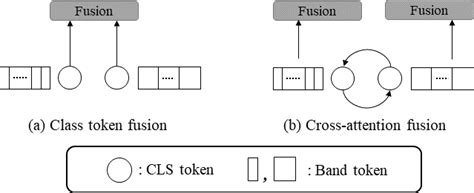 The Sketch For Multi Scale Fusion A Class Token Fusion Where Cls