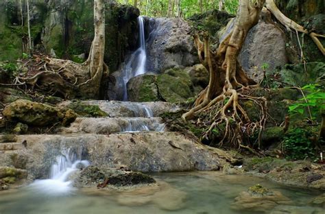 8 Wisata Air Terjun Jember Yang Mengagumkan 2025