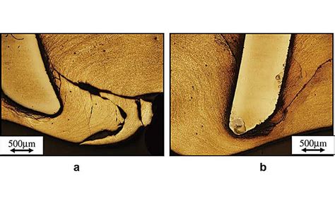 Advances In Self Piercing Riveting 2018 08 02 Assembly