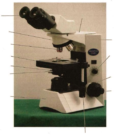 Micro Lab Microscope And Slides Diagram Quizlet