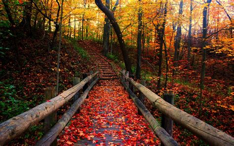 Autumn Scenes Desktop Wallpapers Top Free Autumn Scenes Desktop