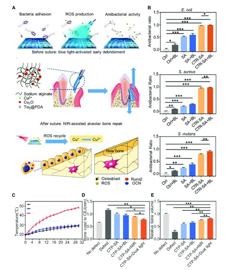 Dual Light Tunable Sodium Alginate Hydrogel Used As A Barrier Membrane