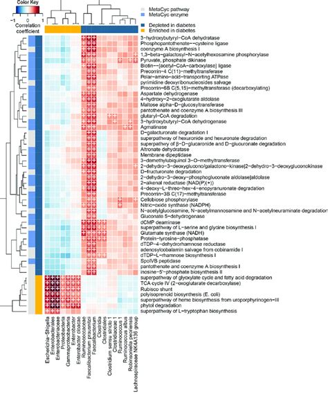 Correlation Between Bacterial Abundance And Stool Metagenomic