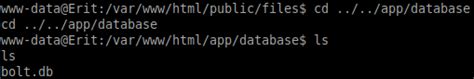 [tryhackme] erit securus i walkthrough