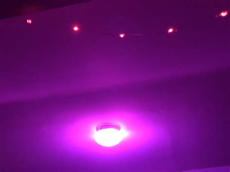 We Rock That Bisexual Lighting R Bisexualfrogs