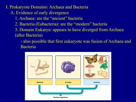 Ppt I Prokaryote Domains Archaea And Bacteria Powerpoint