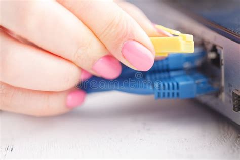 Insert Network Patch Cord In Lan Commutator Switch Close Up Stock Photo Image Of Commutator