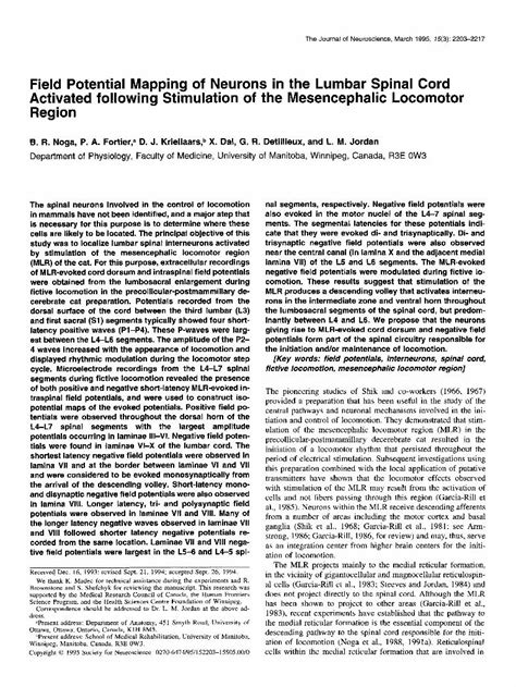 Pdf Field Potential Mapping Of Neurons In The Lumbar Spinal · The