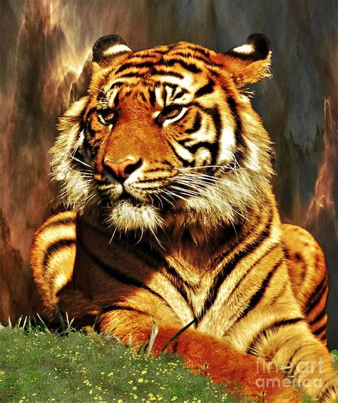 Everything You Should Know About React 18 R Learnreactjs