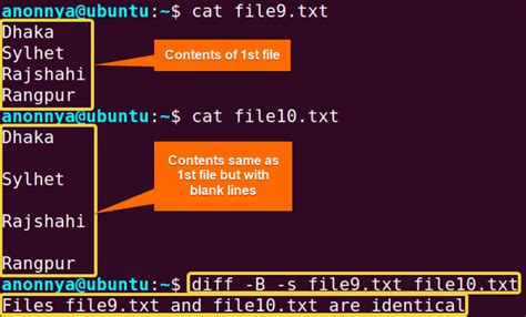 The “diff” Command In Linux 11 Practical Examples Linuxsimply