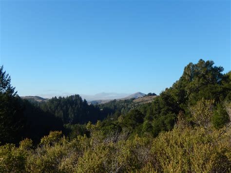 Barnabe Peak From Madrone Camp