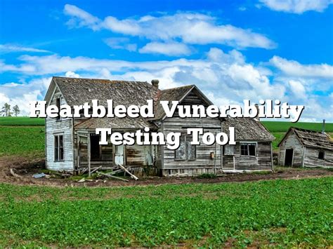 Heartbleed Vunerability Testing Tool The Homestead Survival