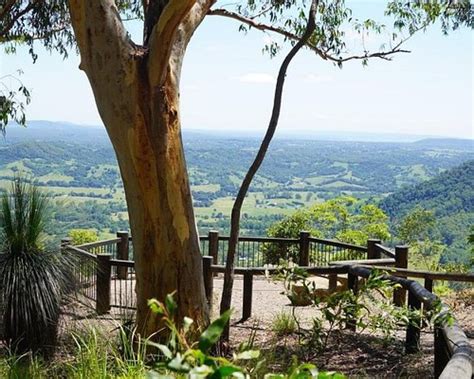 Mapleton National Park Scoop Digital Australias Largest Lifestyle