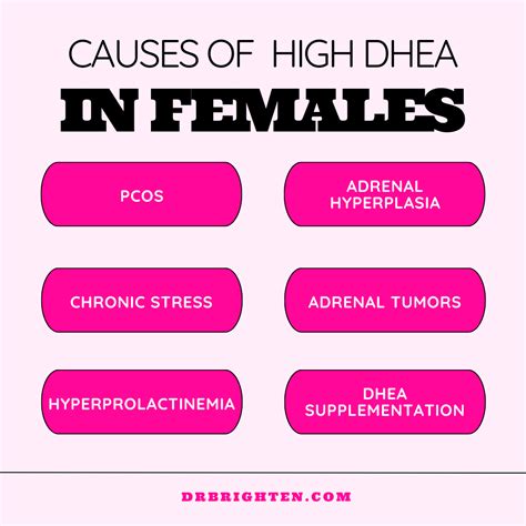 Low Dhea Causes Insomnia At Cathleen Kiser Blog