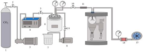 Preparation And Characterization Of Instant Casein Phosphopeptide By Supercritical Fluid