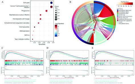 Functional Enrichment And Identification Of Underlying Signaling