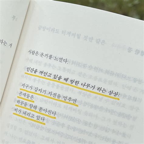 문학동네 On Twitter 평행 우주를 노니는 엉뚱하고 사랑스러운 상상력 문학동네시인선197 문보영 시집 ⭐『모래비가 내리는 모래 서점』 출간⭐ 우리가 사는 현실과