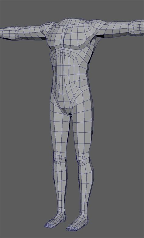 Box Modeling A Male Human Tutorials Tips And Tricks Blender