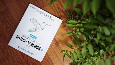 Nuclei 国产自主可控risc V处理器生态领导者公司新闻nuclei Best Risc V Processor Ip