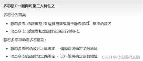 C 多态 Csdn博客