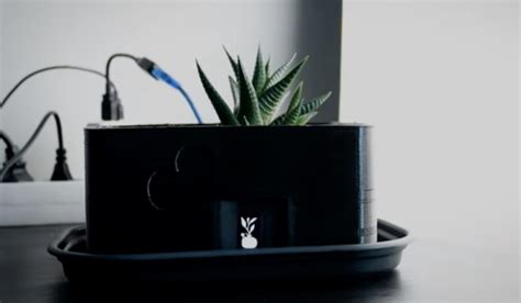 Anthropomorphizing A Houseplant With Arduino Arduino Blog