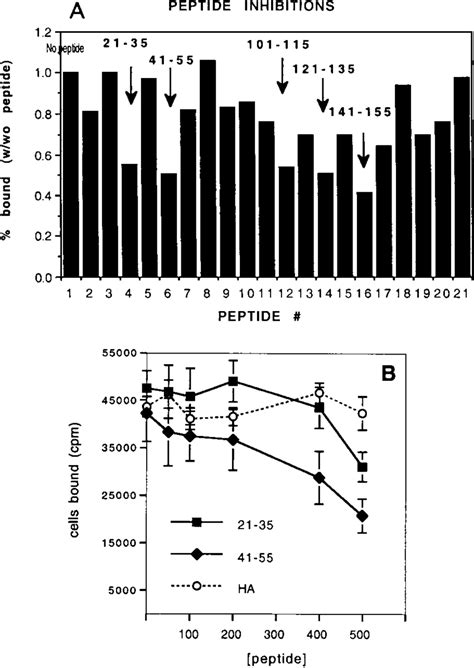 Peptides Derived From The Sequence Of The Dr Polypeptide Inhibit The Download Scientific