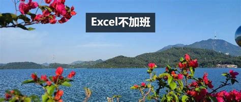 活了这么多年才知道四舍五入用ROUND函数是违法的可罚款 元 Excel 卢子来 几毛钱