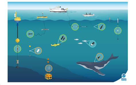 The Illustration Shows Examples Of Different Types Of Acoustic