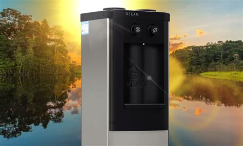 Sustentabilidade E Eficiência O Impacto Ambiental Reduzido Do Purific