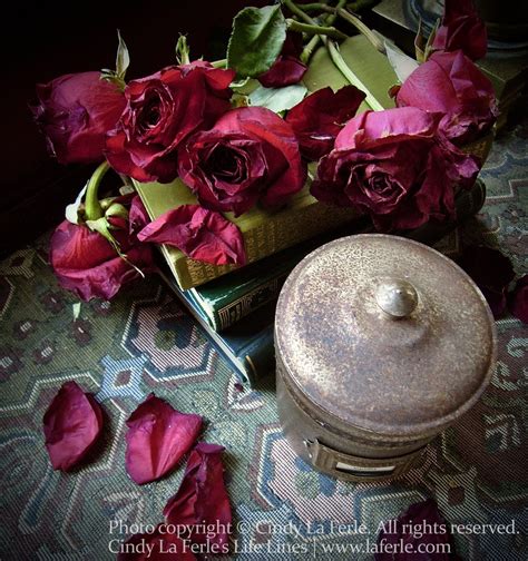 When it’s all too much | Cindy La Ferle's Life Lines