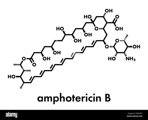 Amphotericine Stock Vector Images Alamy