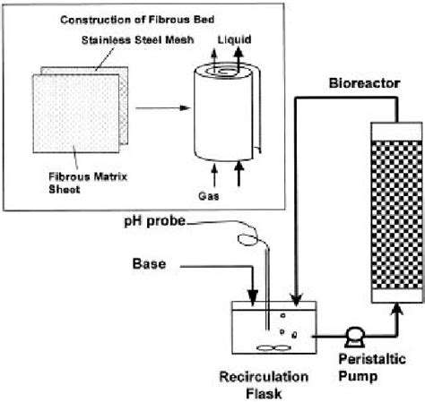 Schematic Diagram Of Fibrous Bed Bioreactor 27 Download Scientific Diagram