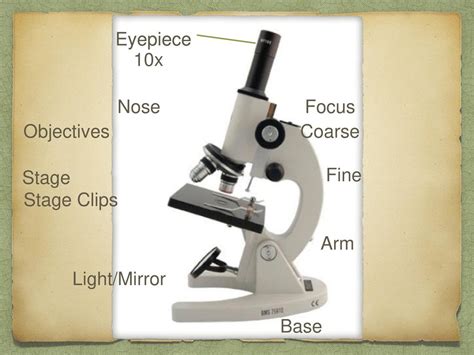 Meet The Microscope Investigation Ppt Download