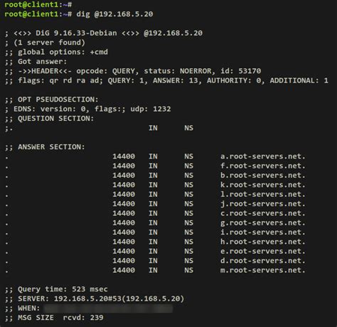 Cómo Configurar Un Resolvedor De Dns Local Con Unbound En Debian Howtoforge