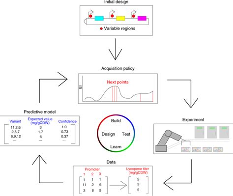 towards a fully automated algorithm driven platform for biosystems
