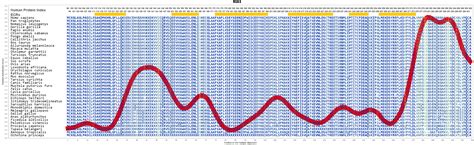 Rgs4 Gene Genecards Rgs4 Protein Rgs4 Antibody