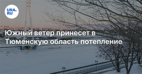 Погода в Тюменской области 14 января 2025 года
