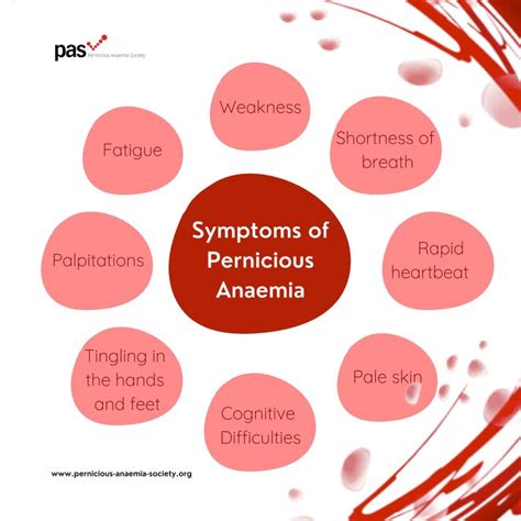Judy Barber On Linkedin I Have Heard Of Pernicious Anaemia My Father