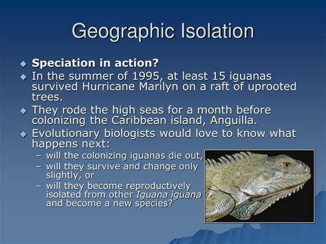 Ppt Process Of Speciation Powerpoint Presentation Free Download Id 6414819