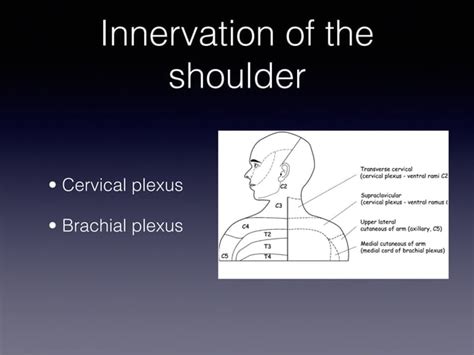 Shoulder Block Tutorial 2014 Ppt