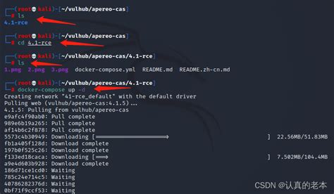 apereo cas 密钥硬编码反序列化漏洞复现与利用 apereo cas 漏洞 csdn博客