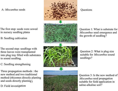 The Chart Of Seed‐based “two‐steps” Propagation Method Some Questions